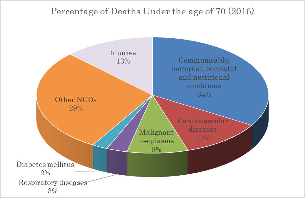 Non Communicable Diseases NCDs Global Health Japan Pharmaceutical